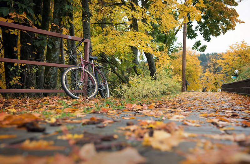 Autumn Injuries give way to Fall | Kaveny Sarmas