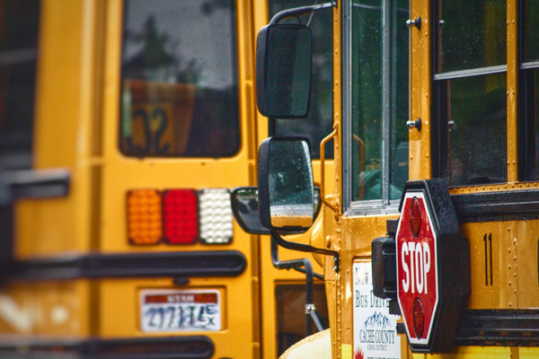 The Safety of the School Bus | Kaveny Sarmas